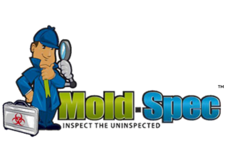 Mold Inspection Palm Coast – Mold Inspection & Mold Detection