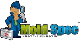 Mold Inspection & Mold Detection – Hire the services of a professional ...