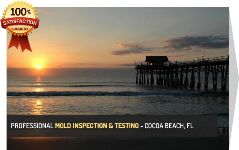 Mold Inspection Cocoa Beach – Mold Inspection & Mold Detection