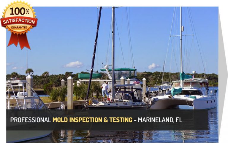 Mold Inspection Marineland – Mold Inspection & Mold Detection